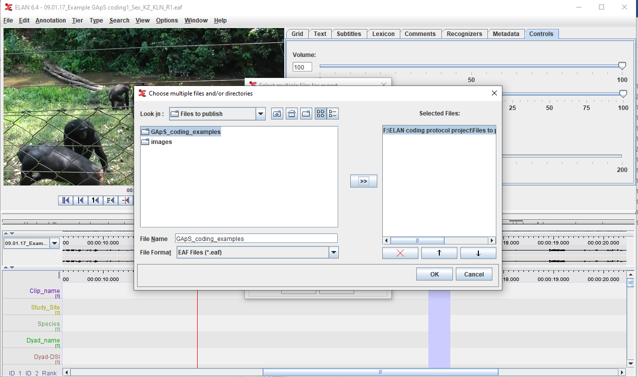 Export annotated file as Excel output file - GApS